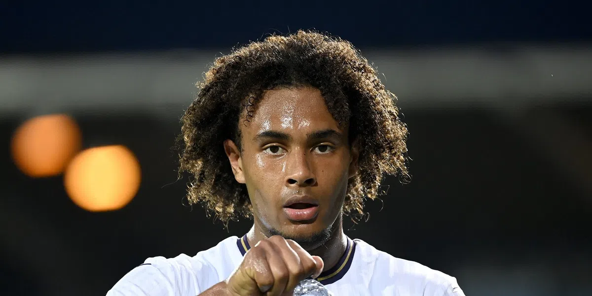"Zirkzee is the real thing, eigenlijk een speler voor Manchester City"